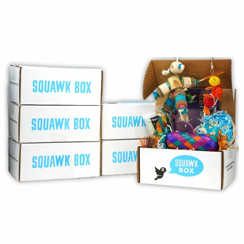 Big Birdie (6 Month Prepay) – Squawk Box