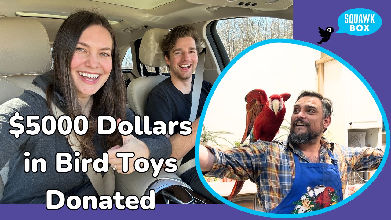 Squawk Box Donates: Albatross Aviary, Grand Rapids, MI