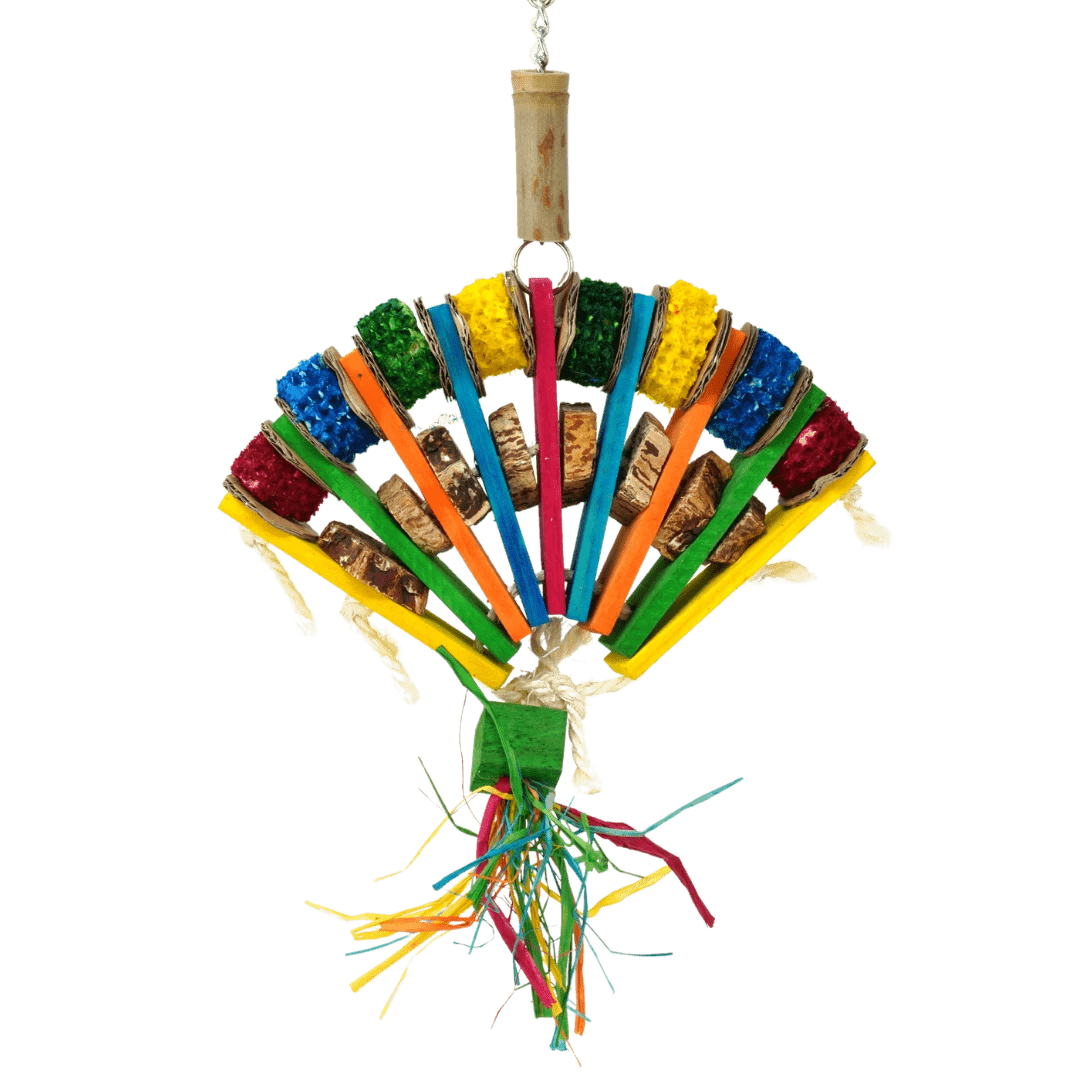 Turkey Tail – Squawk Box