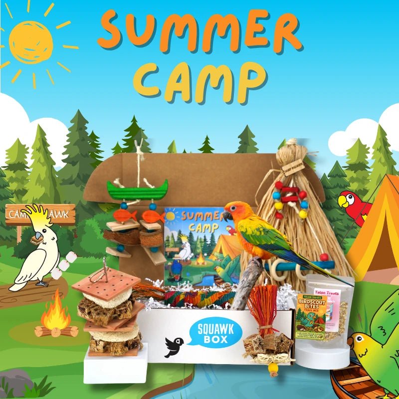 Summer Camp Squawk Box