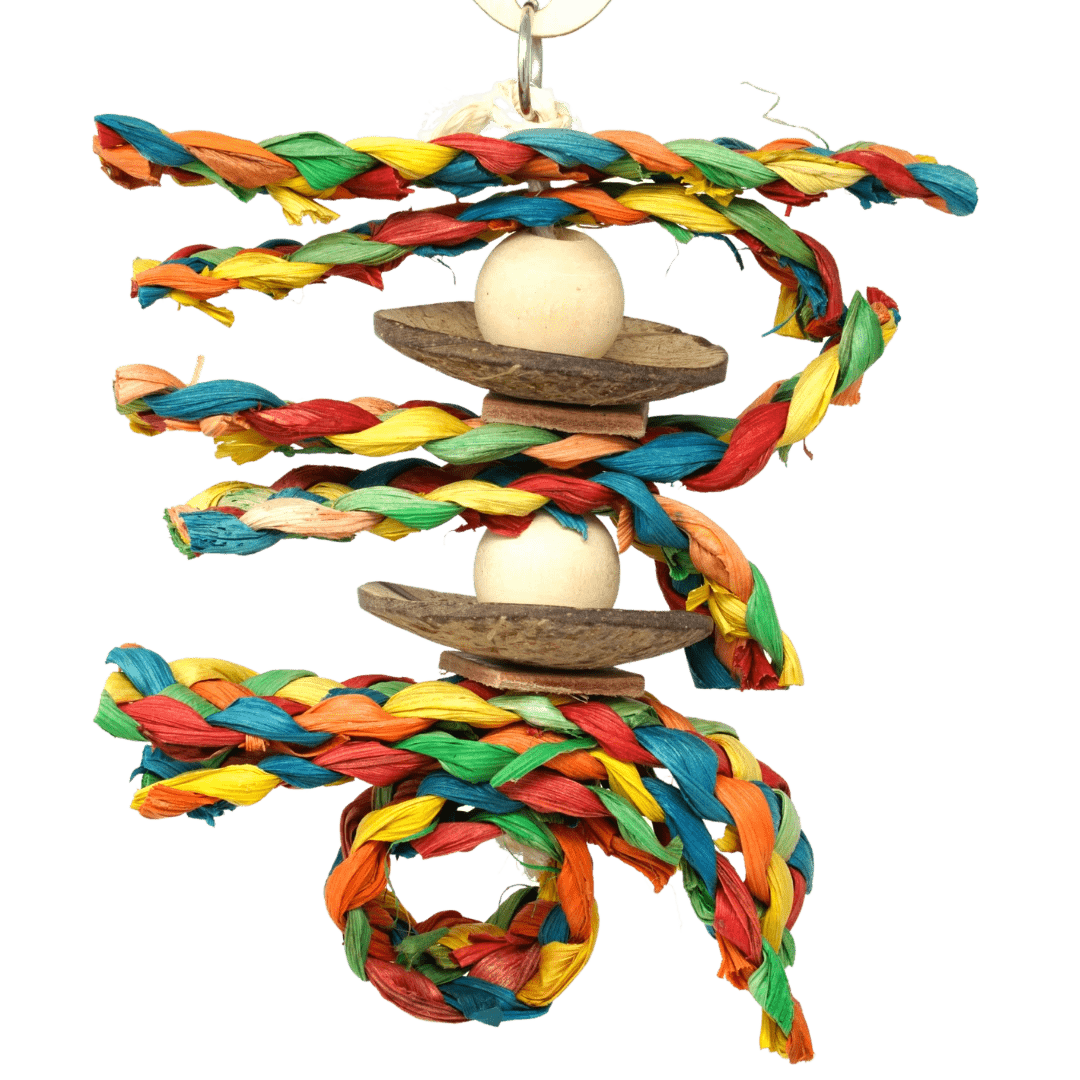 Braidy – Squawk Box