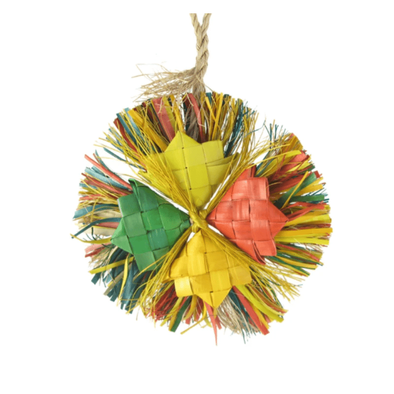 Happy Holly – Squawk Box