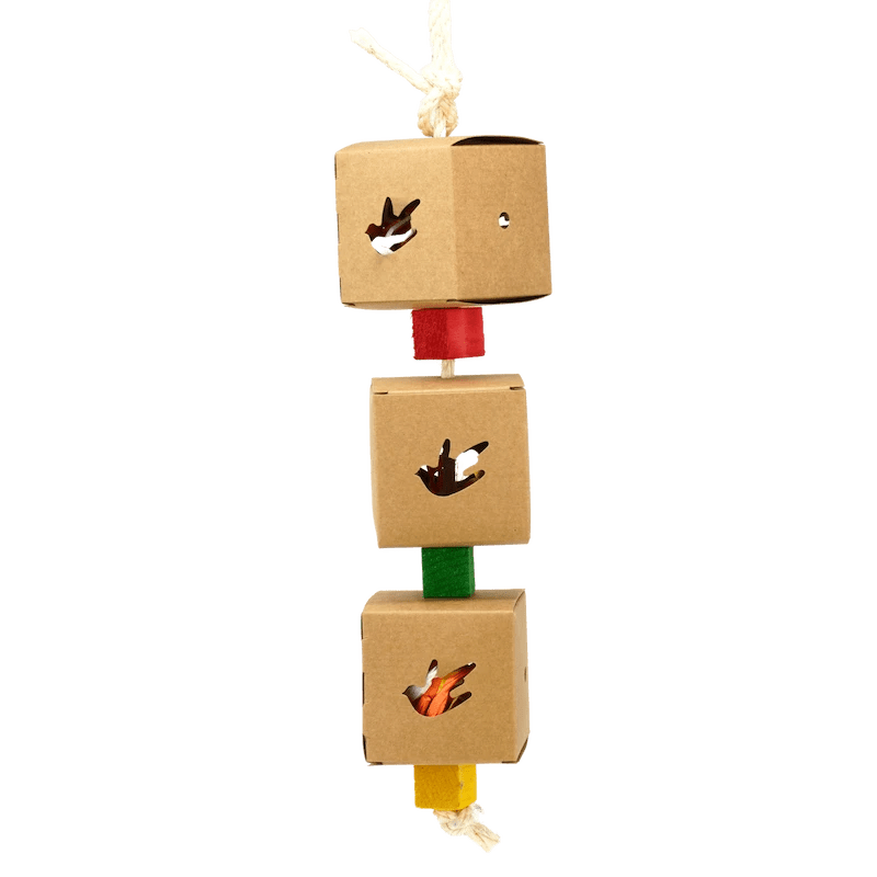 Triple Foraging Box – Squawk Box