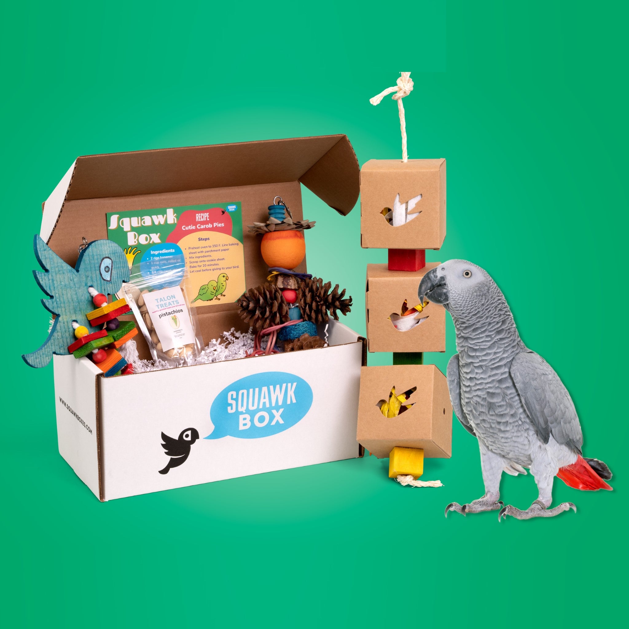Squawk Box | Big Birdie Toys and Treats Subscription Box