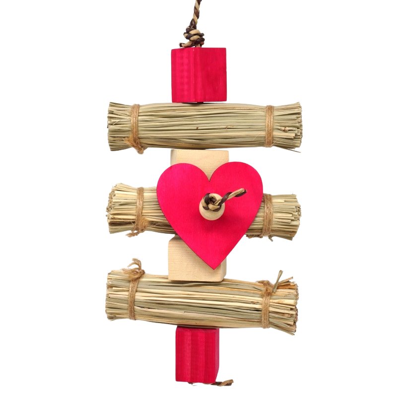 Large Bird Toys – Squawk Box